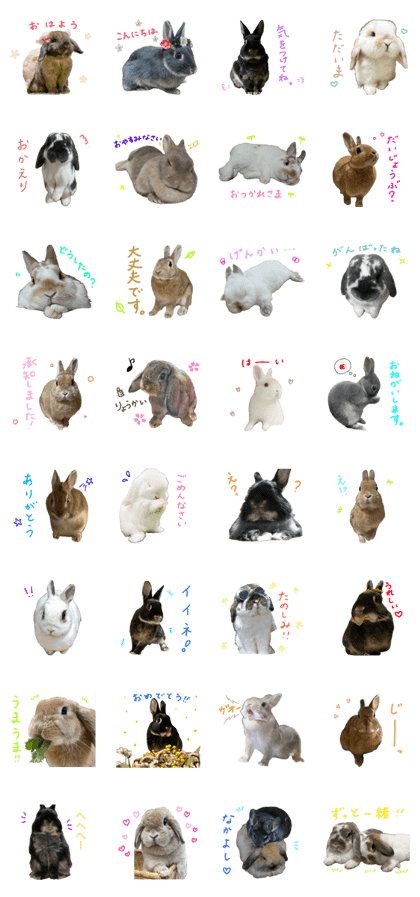 【スタンプ無料GET!】 うさぎのぼるととおともだち2025｜ Stampick! （スタンピック）