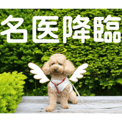 hanatan_20241225213058 – LINE stickers | LINE STORE
