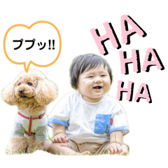 トイプードル hanatan 第3弾 - LINE スタンプ | LINE STORE