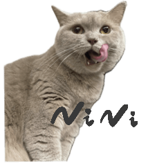 Nini is a beautiful cat. – LINE stickers | LINE STORE