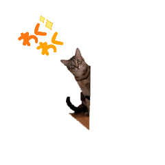 Uri&Chibi_20241227111925 – LINE stickers | LINE STORE