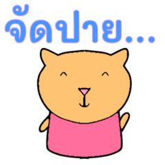 Meme_meow meow – LINE stickers | LINE STORE