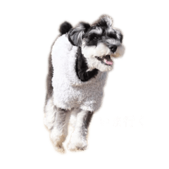 noah.f_20241228221619 – LINE stickers | LINE STORE