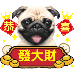 fat baby pug. - LINE スタンプ | LINE STORE