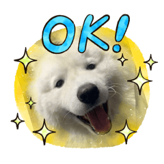 nero.n_20241231214932 – LINE stickers | LINE STORE