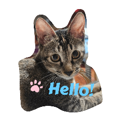 TSH_20250104114301 - LINE スタンプ | LINE STORE