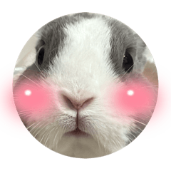 Candice_20250109031855 – LINE stickers | LINE STORE