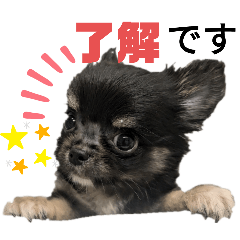 moca.tsum_20250111231417 – LINE stickers | LINE STORE