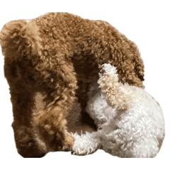 yup_20250123003345 – LINE stickers | LINE STORE