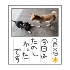 BARON_20250129040235 – LINE stickers | LINE STORE