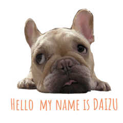 Hallo my name is Daizu. 1 - LINE スタンプ | LINE STORE