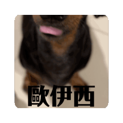 Hooot dooooog - LINE スタンプ | LINE STORE