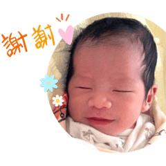A WEN_20250131144604 – LINE stickers | LINE STORE