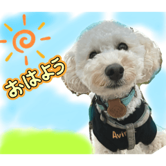 Kota_20250201105626 – LINE stickers | LINE STORE