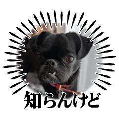 pocomaru_no_ka-san_20250131172157 – LINE stickers | LINE STORE