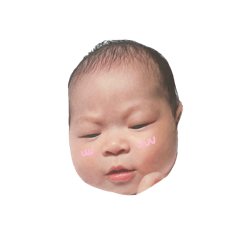 Bby panyA_20250205232011 – LINE stickers | LINE STORE