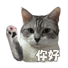 Kilig_20250206114815 - LINE スタンプ | LINE STORE