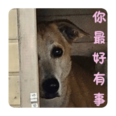 Vicky_20250207003718 – Stickers LINE | LINE STORE