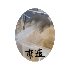 Xiaxi._.0106_20250206155014 - LINE スタンプ | LINE STORE