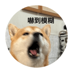 shu._. – LINE stickers | LINE STORE