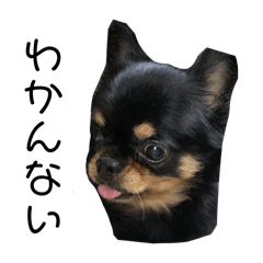 Hinari_20250207214054 – LINE stickers | LINE STORE