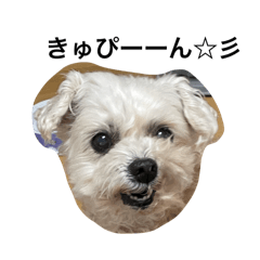 LALA-chan_20250208204340 – LINE stickers | LINE STORE