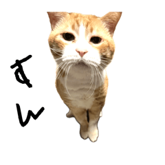 emr_20250212190531 – LINE stickers | LINE STORE