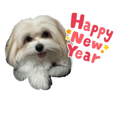 My Name is Martin (V.3) – LINE stickers | LINE STORE
