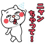 Annoying Cat Animated Joke Stickers – LINE stickers | LINE STORE