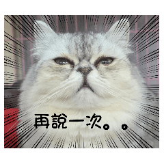 Gary_20250221225959 - Stiker LINE | LINE STORE