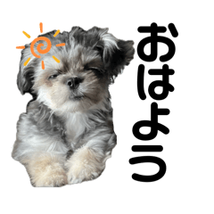 unichan_no_stamp | Yabe-LINE貼圖代購 | 台灣No.1，最便宜高效率的代購網