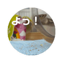 Chippy & Peppy Stickers - J Ver.1 - LINE スタンプ | LINE STORE