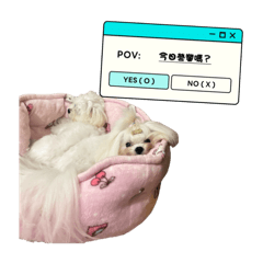 Kimmy_20250222112011 - Stiker LINE | LINE STORE