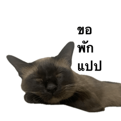 Call me Sigh – LINE stickers | LINE STORE