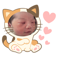 Shan_20250226003330 – LINE stickers | LINE STORE