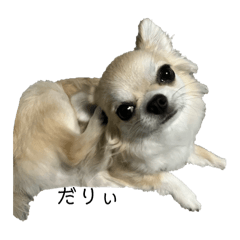 upon._20250225195858 – LINE stickers | LINE STORE