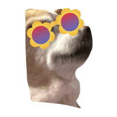 mei!_20250226080648 – LINE stickers | LINE STORE