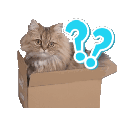 moko_roko_20250226194935 – LINE stickers | LINE STORE