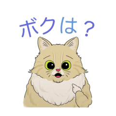 SUNAnoKO_20250227185411 – LINE 스티커 | LINE STORE