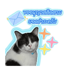 Kmt_20250228212922 – LINE stickers | LINE STORE