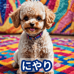 Fluffy Poodle Mood | Yabe-LINE貼圖代購 | 台灣No.1，最便宜高效率的代購網
