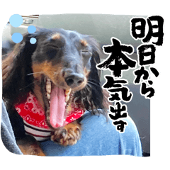 Raizen_20250303210416 – LINE stickers | LINE STORE