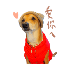 Fubao dog – LINE貼圖 | LINE STORE