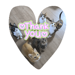 Yuna cats - LINE スタンプ | LINE STORE