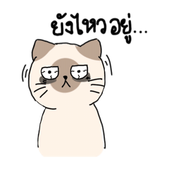 bai_story_20250312004540 – LINE stickers | LINE STORE