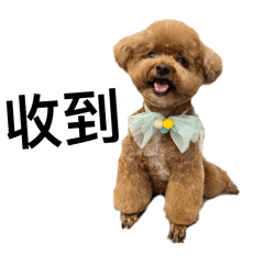 Hui Ping_20250314162233 – สติกเกอร์ LINE | LINE STORE