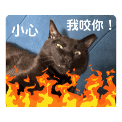 Shu_20250318114152 – LINE stickers | LINE STORE