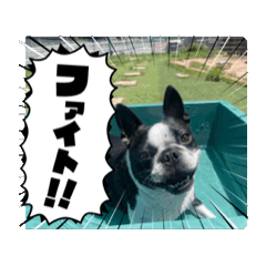 maririn maririn_20250320192604 – สติกเกอร์ LINE | LINE STORE