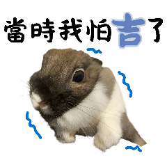 RoRo_20250321181722 – LINE stickers | LINE STORE