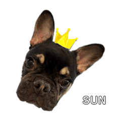 SHIHO.322 – LINE stickers | LINE STORE